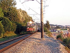 Хоста